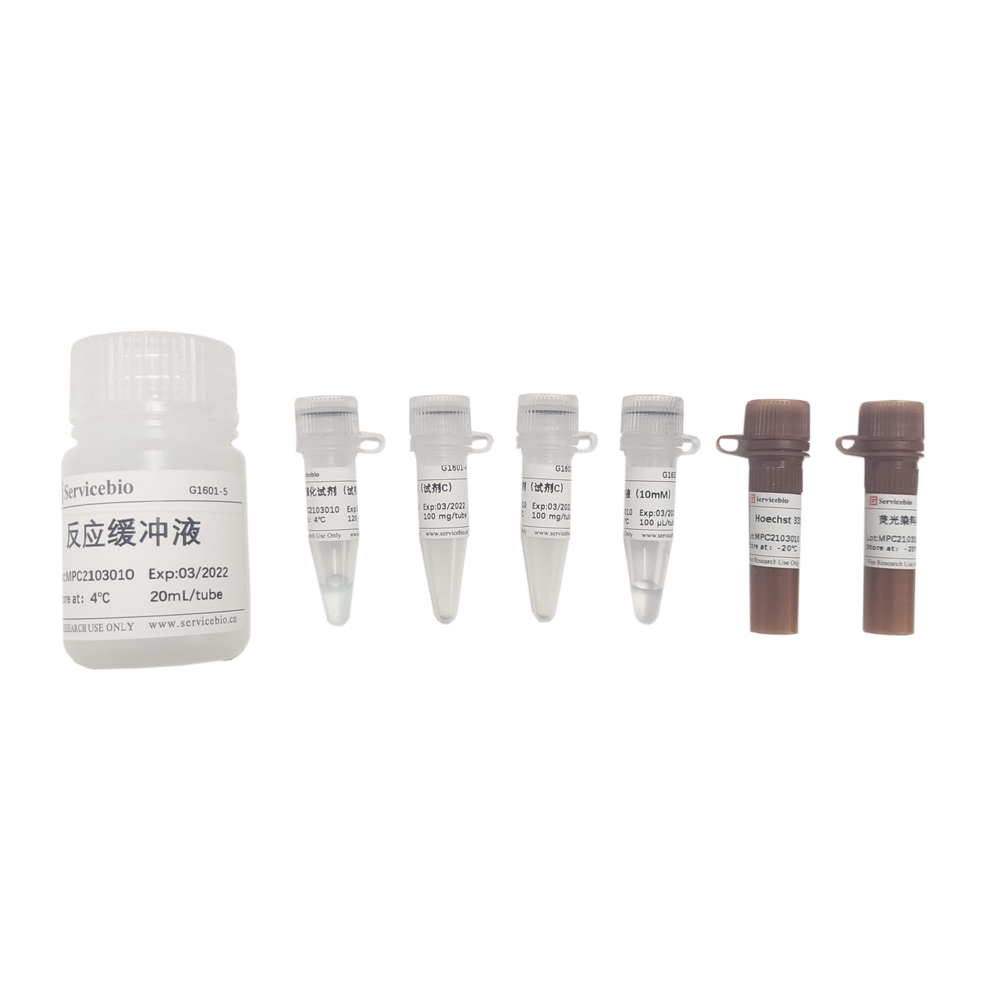 Cell Proliferation Assay Kit – GenObeDia