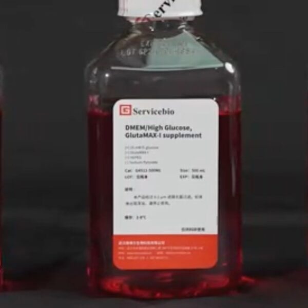 DMEM/F12 Glutamax – GenObeDia